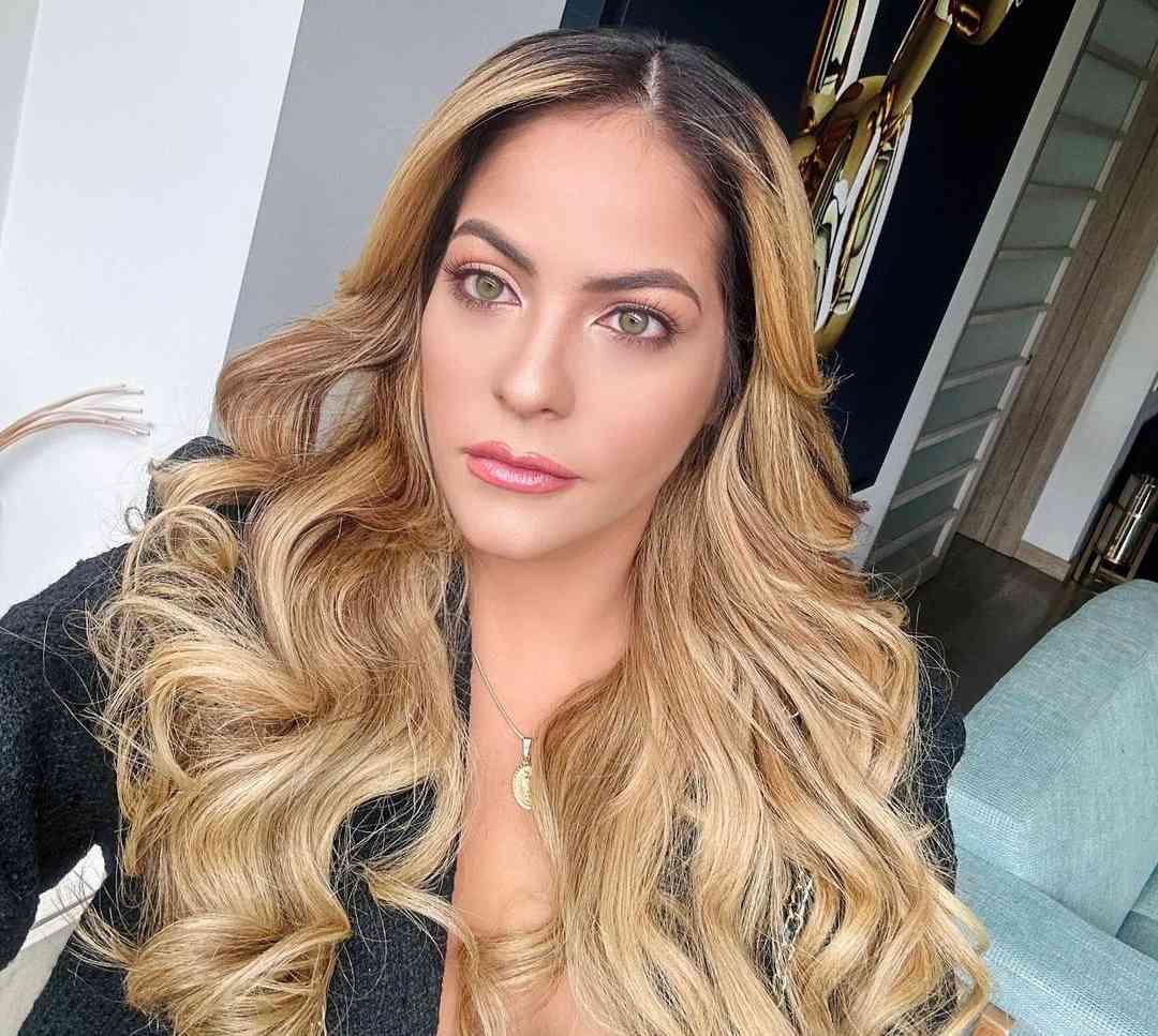 Laura Ojeda, pareja de Nicolás Petro, enfrenta dolorosa pérdida ...