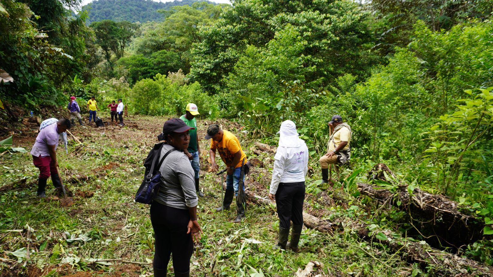 Unidad de Búsqueda en Tadó, Chocó, encuentra cinco cuerpos - Nación Paisa