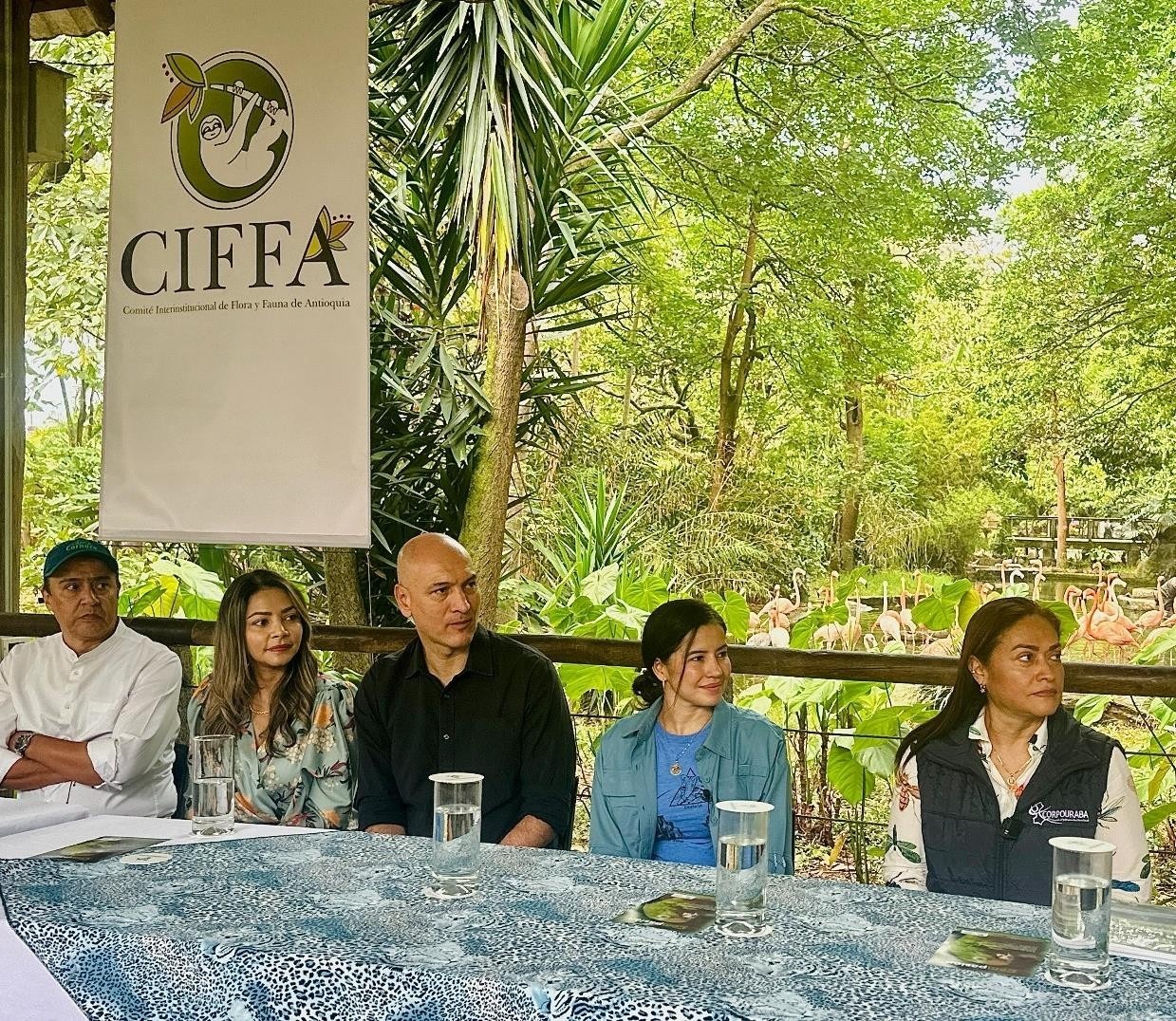 El CIFFA invita al país a tener compasión por la vida silvestre ...