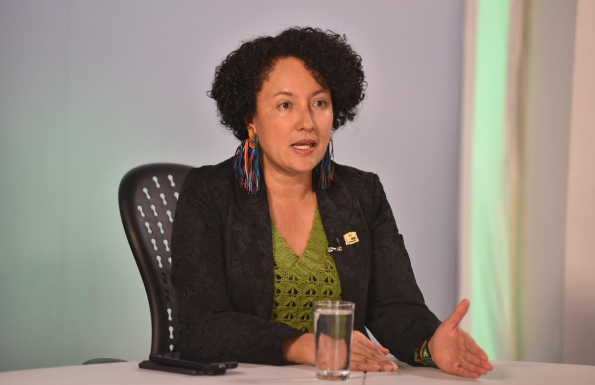 Isabel Zuleta se retracta de acusaciones al Centro Democrático - Nación ...